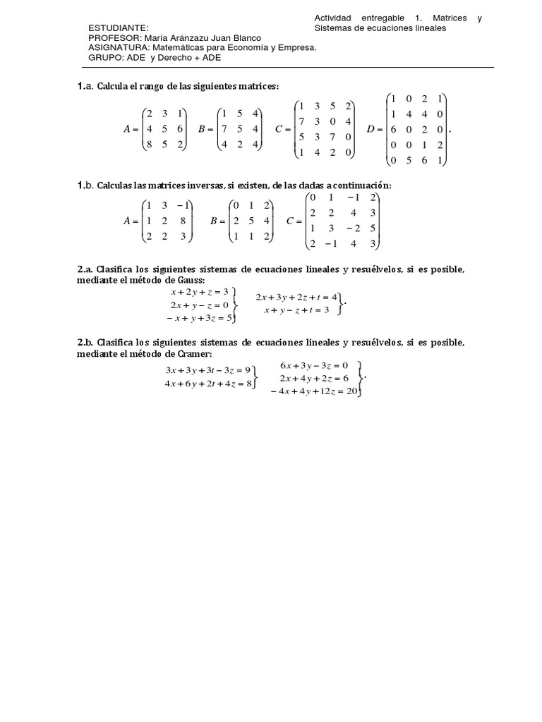 AE1. Matrices y Sistemas de Ecuaciones Lineales PDF | PDF | Sistema de ecuaciones lineales ...