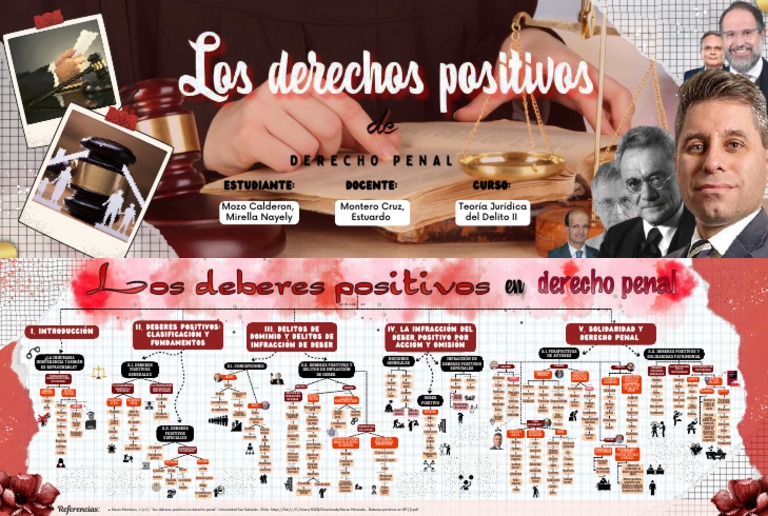 ORGANIZADOR VISUAL - LOS DEBERES POSITIVOS EN DERECHO PENAL - IVÁN ...