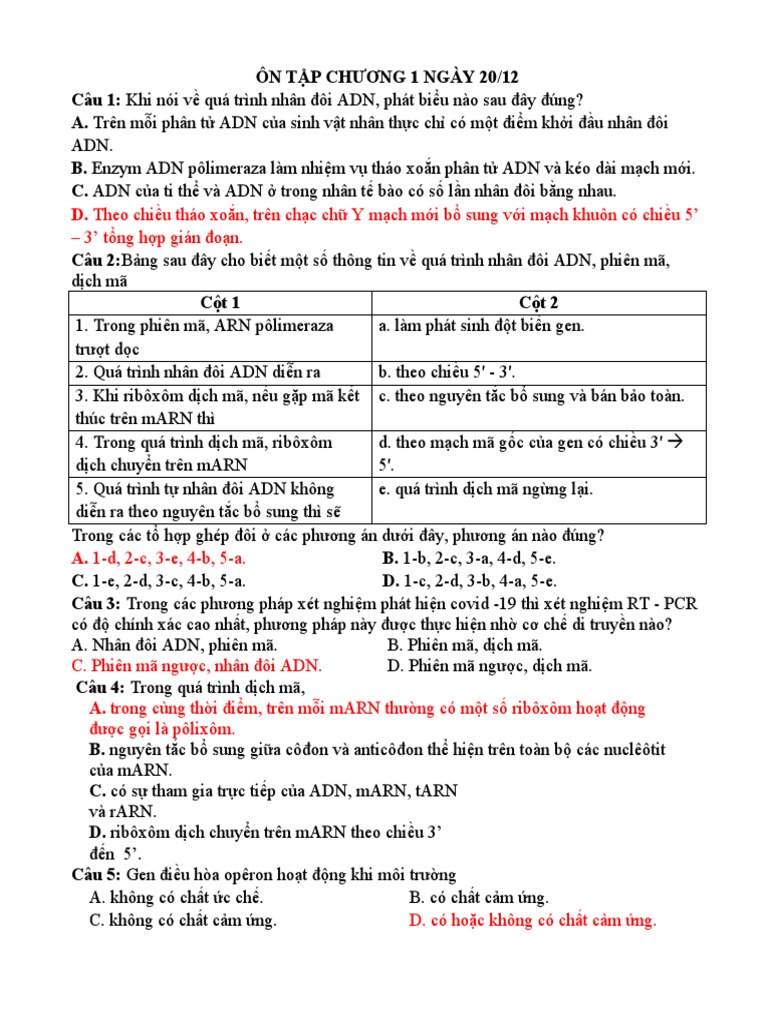 12a2 Daon Tap Tong Hop Lan 2 | PDF