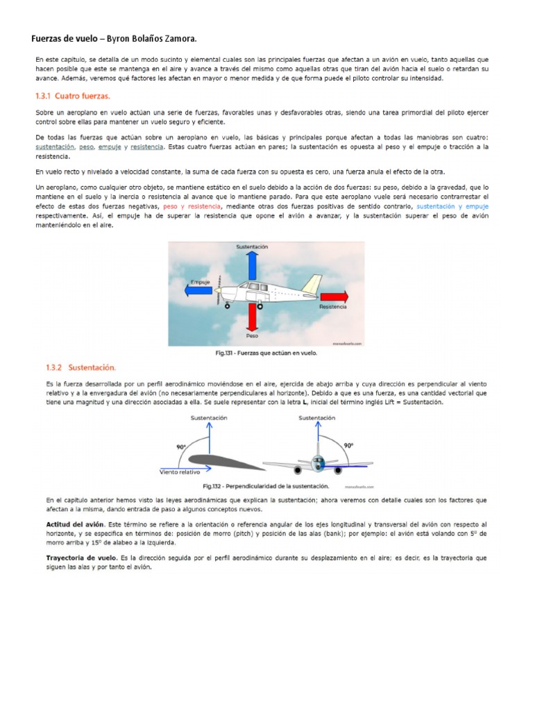 Fuerzas de Vuelo | PDF