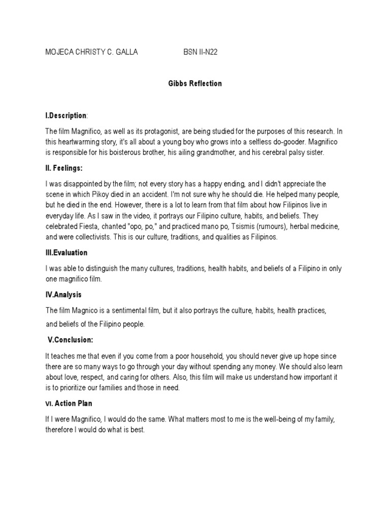 Gibss Reflection Magnifico | PDF | Social Science