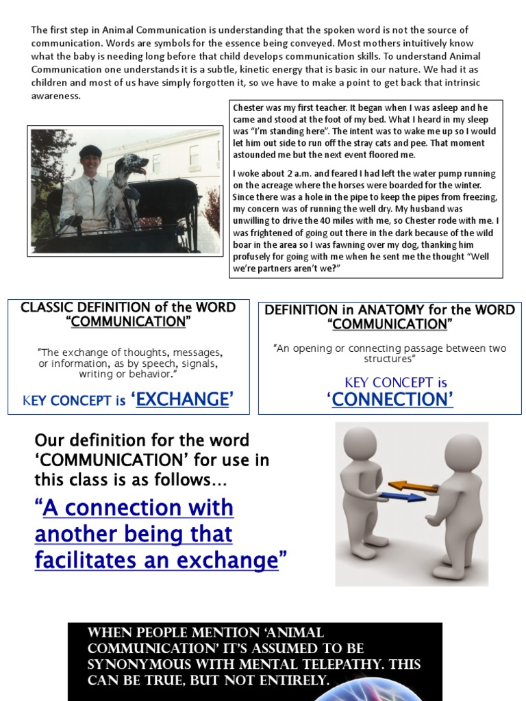 Understanding Animal Communication Techniques | PDF | Communication ...