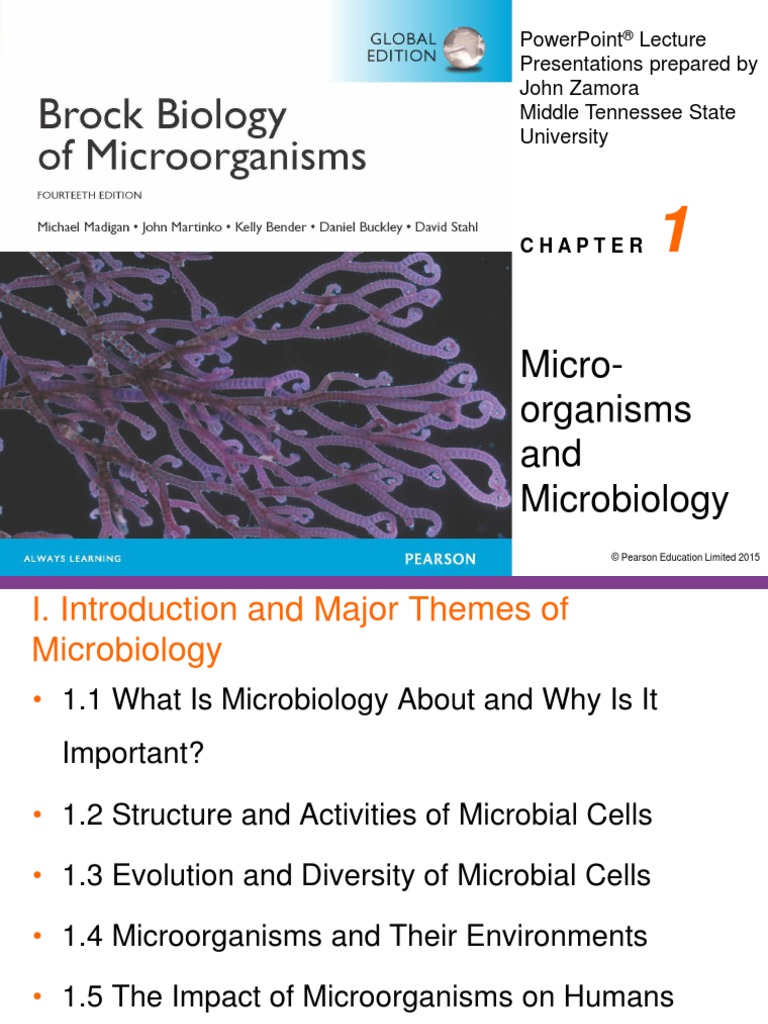 CH 01 Lecture Presentation PC | PDF