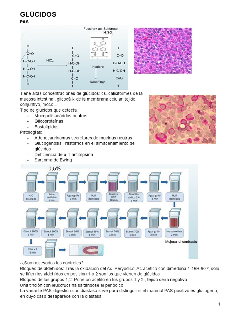 T 4 Y 5 Pcyt Imprimir 2 Pdf Tinción Lípido