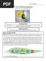 Photosynthesis Experiment with Spinach | PDF | Sodium Bicarbonate
