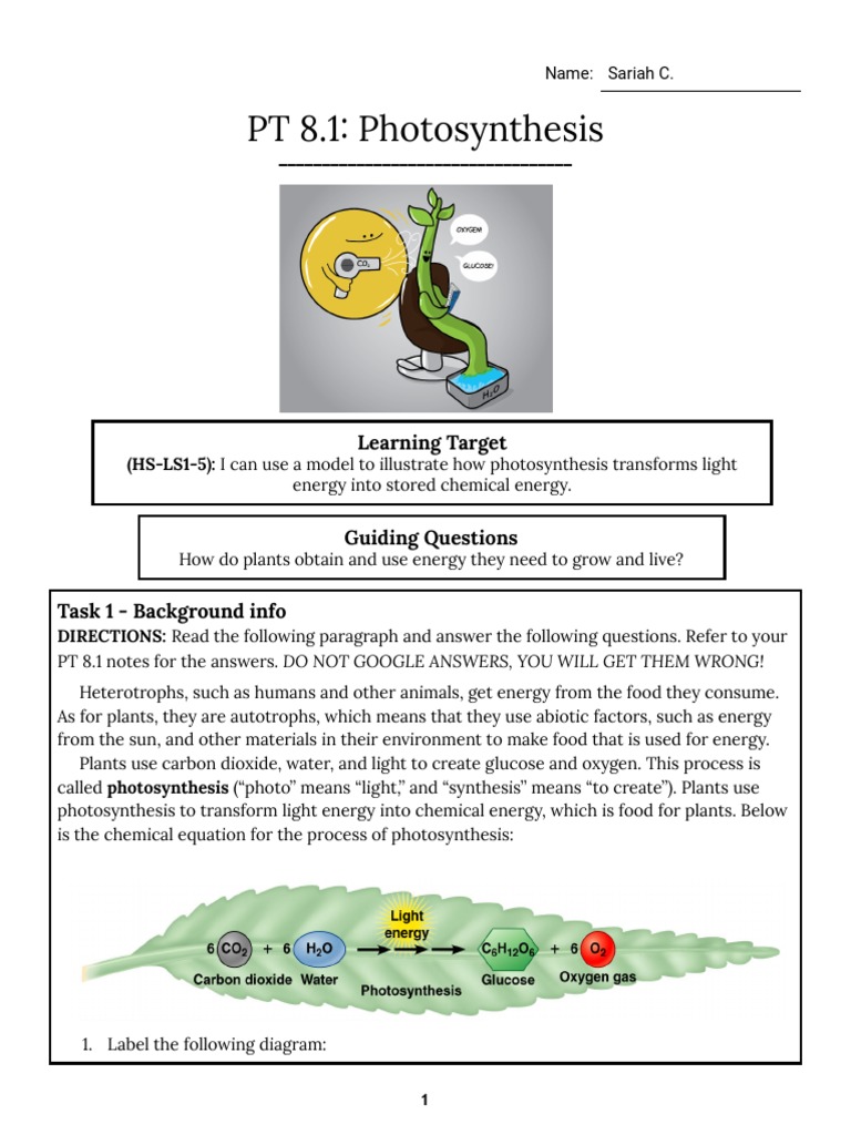 Understanding Photosynthesis Process | PDF | Photosynthesis | Plants