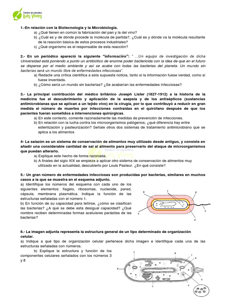 Preguntas Selectividad Cuarto Bloque PDF | PDF | Virus | Las bacterias