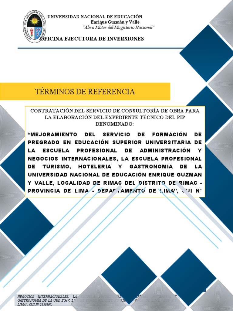 TDR Et Face | PDF | Lima | Educación más alta