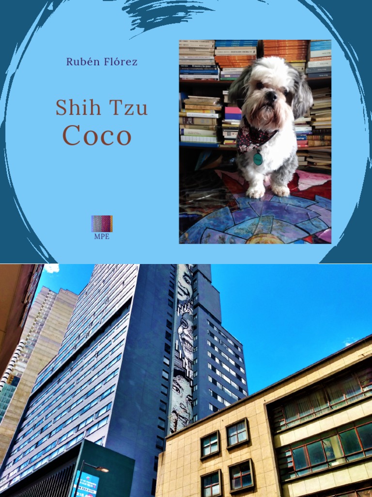 Rubén Flórez. Shih Tzu Coco. 2023 | PDF