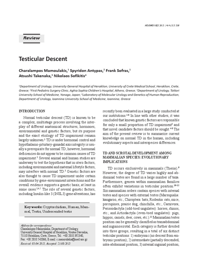 Testicular Descent Mechanisms Explained | PDF | Testicle | Androgen