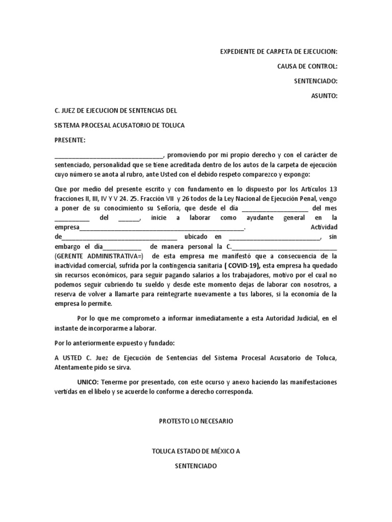 Carpeta de Ejecucion | PDF