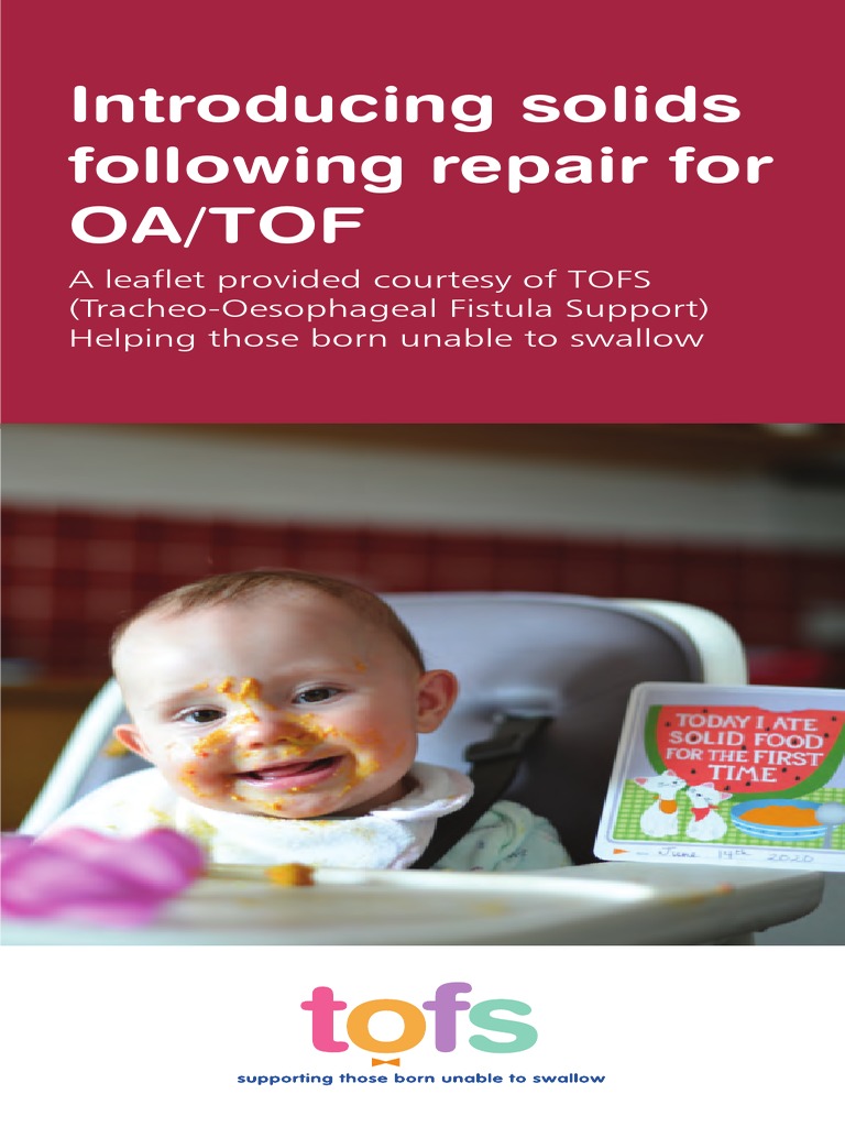 TOFs DL Introducing Solids Booklet PDF | PDF | Biscuit | Fruit