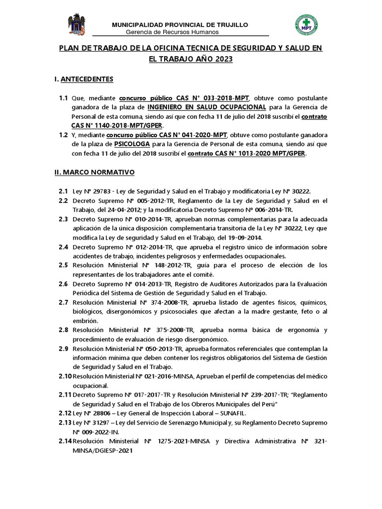 Plan de Trabajo | PDF | Color | Gestión de recursos humanos