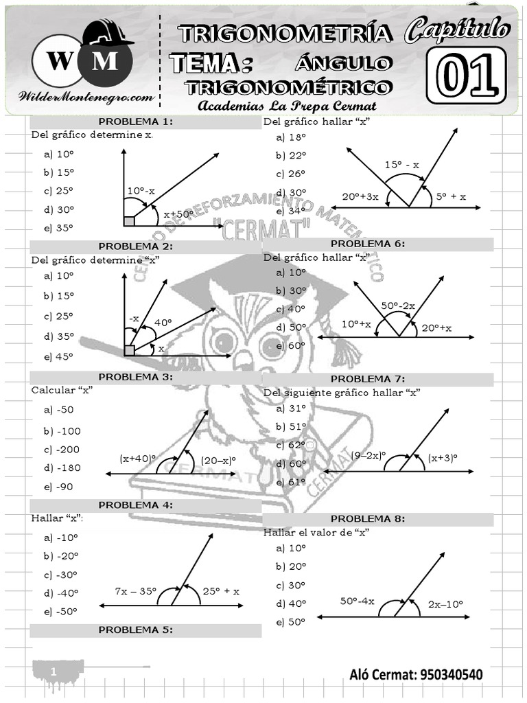 Problemas De ángulos Y Relaciones Trigonométricas Resueltos