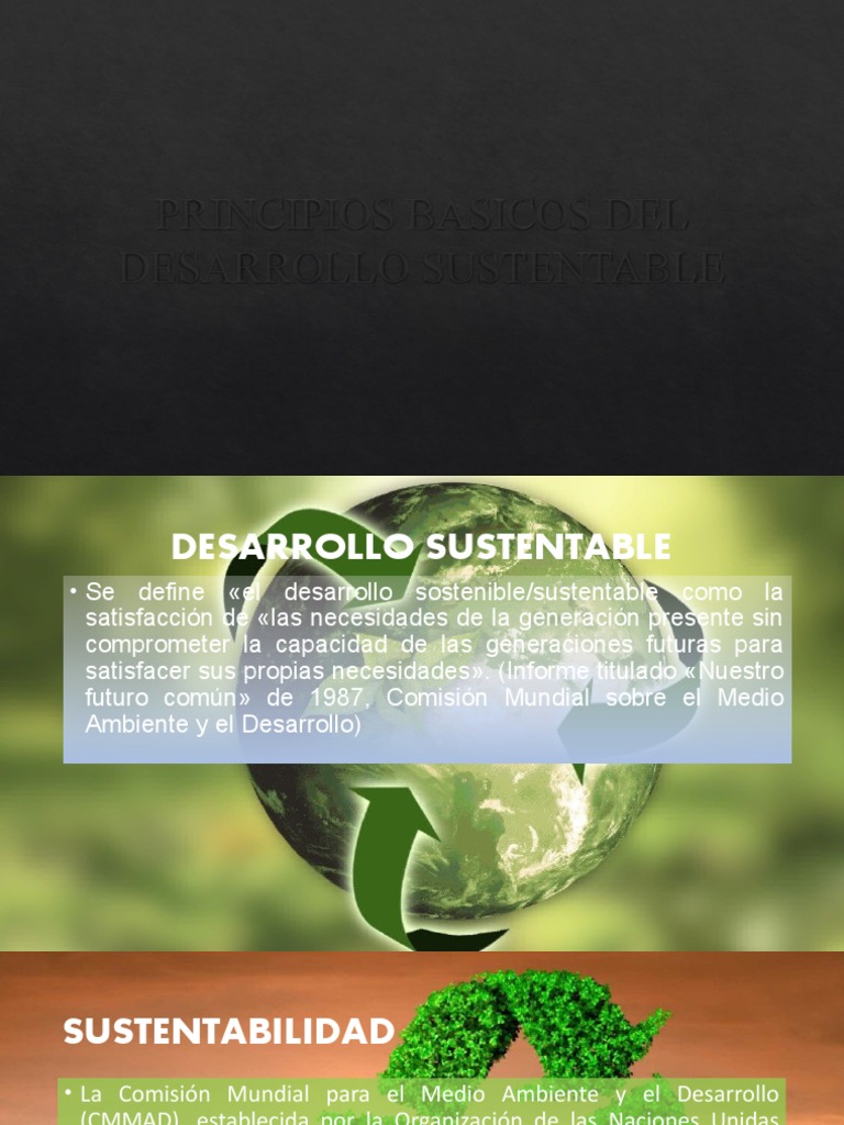 Principios Basicos Del Desarrollo Sustentable | PDF | Sustentabilidad ... Principios Basicos Del Desarrollo Sustentable | PDF | Sustentabilidad ...
