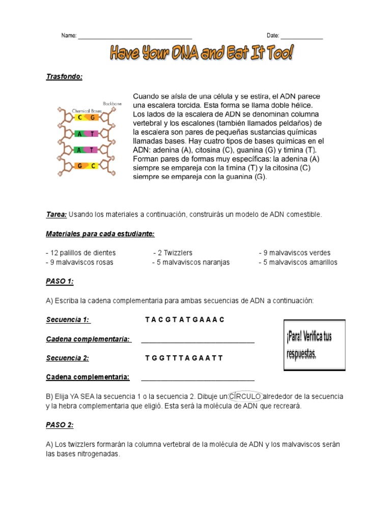 Have Your DNA and Eat It Too! LAB | PDF | Adn | Nucleótidos