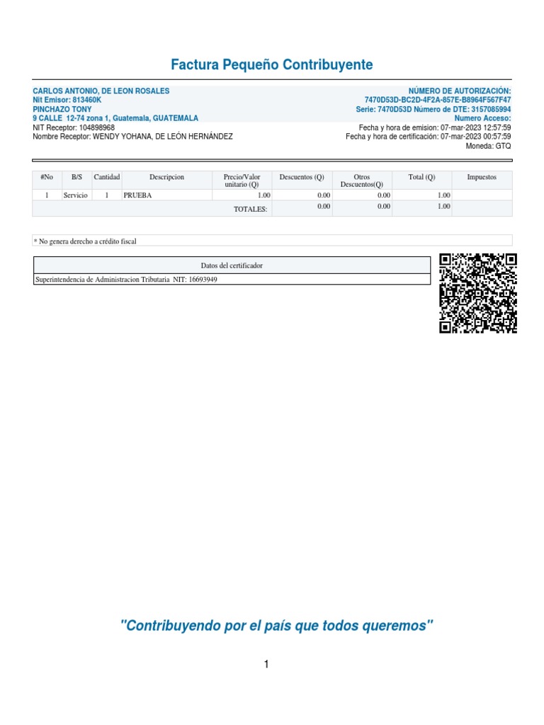 Factura Pinchazo | PDF