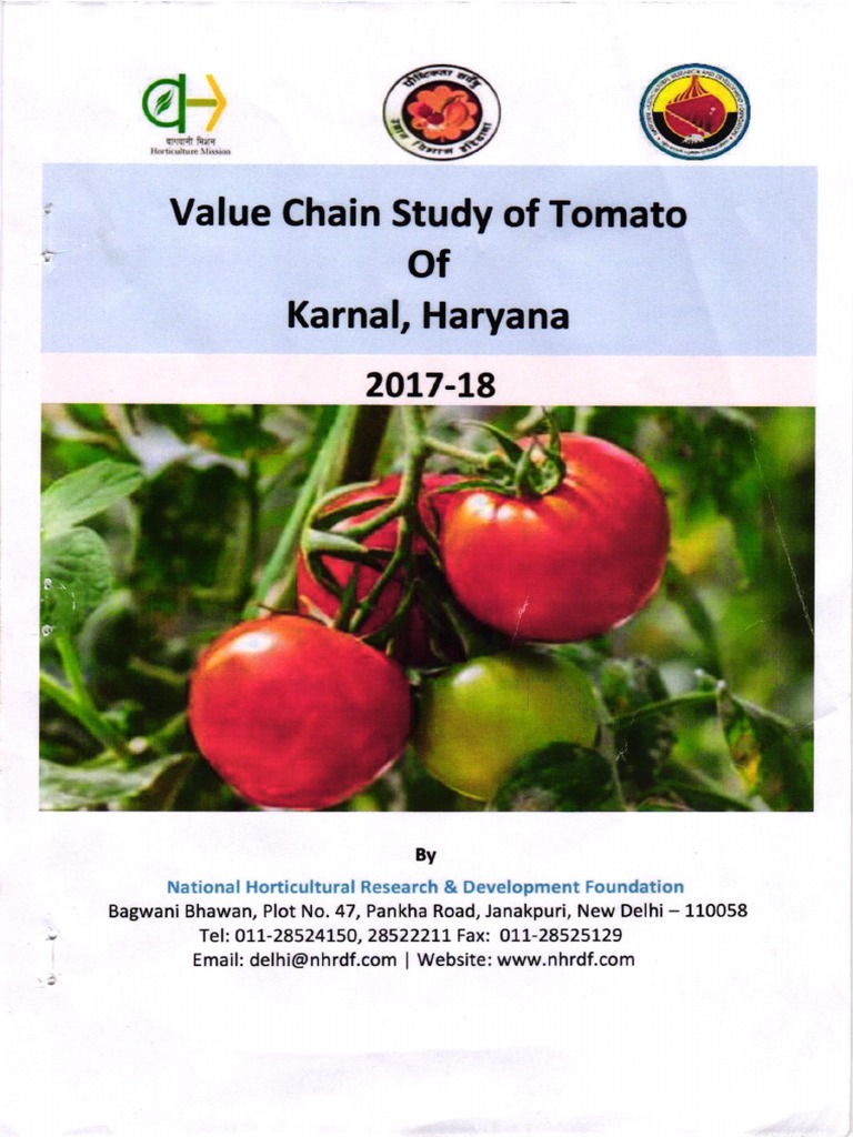 Tomato Value Chain Study in Karnal | PDF | Agriculture | Vegetables