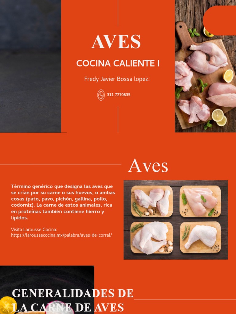 AVES | PDF | Carne | Pollo