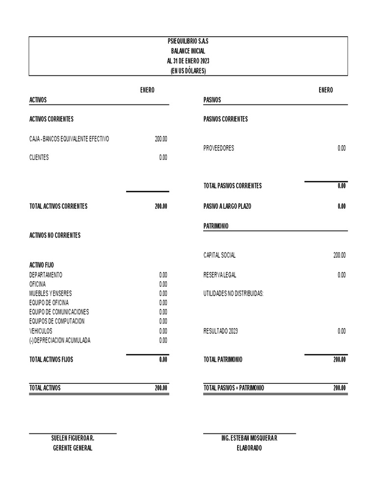 Balance Inicial S.A.S | PDF