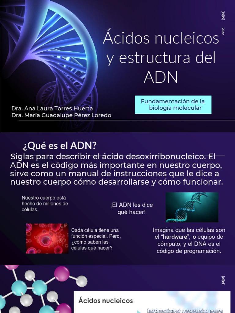 Acidos Nucleicos | Descargar gratis PDF | Rna | Adn