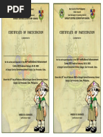 BSP GSP Certificate | PDF