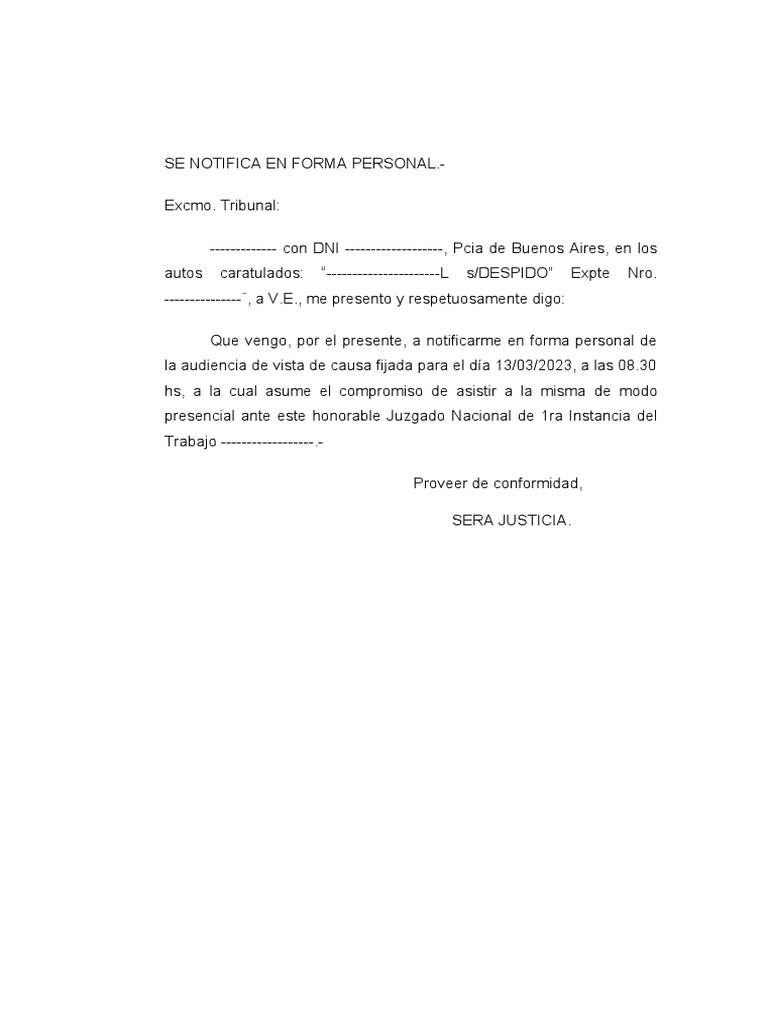 Modelo - Testigo Se Notifica en Forma Personal | PDF