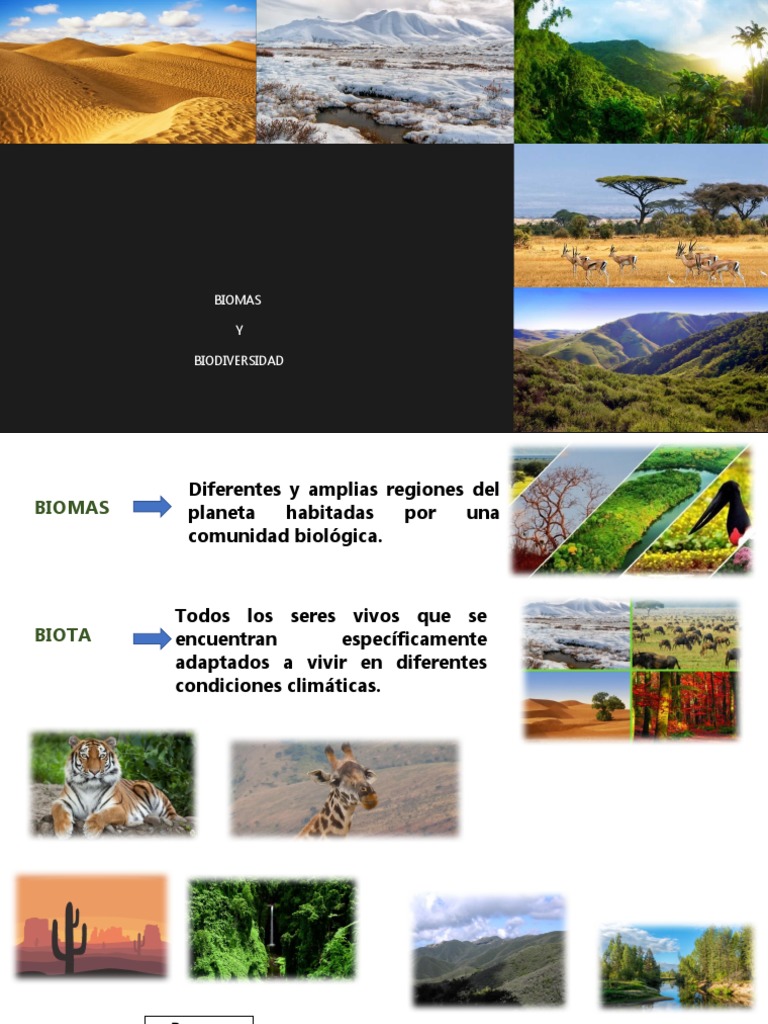 Clases de Biomas y su Biodiversidad | PDF | Ciencias de la Tierra ...