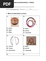 La Trutruca Mapuche | PDF | Instrumentos musicales | Las artes escénicas