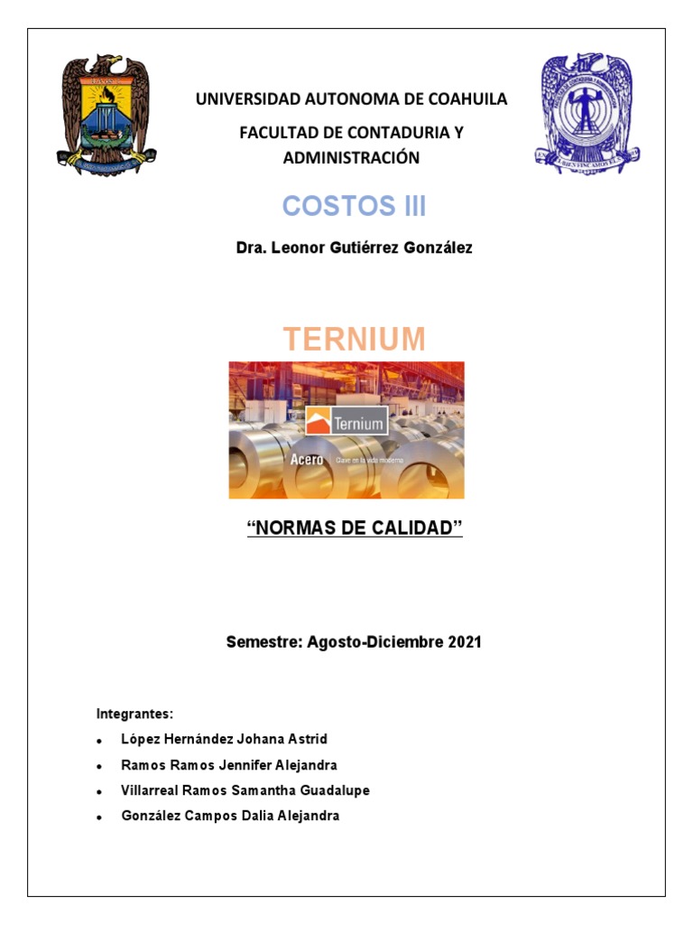 Equipo 6 Ternium 1 | PDF | Business | Economias