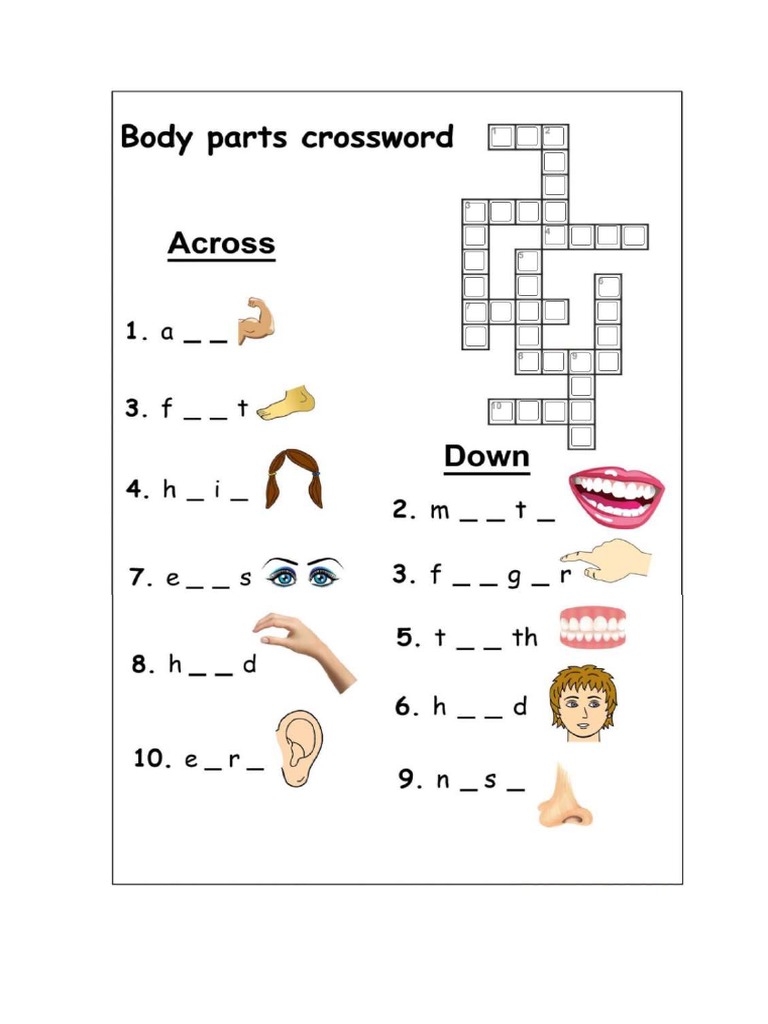 Body Parts Crossword | PDF