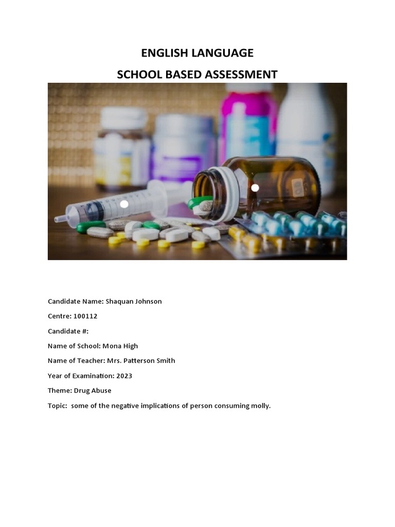 Drug Abuse SBA Report | PDF | Mdma | Communication