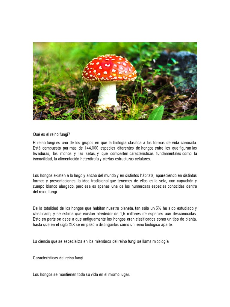 Reino Fungi | PDF