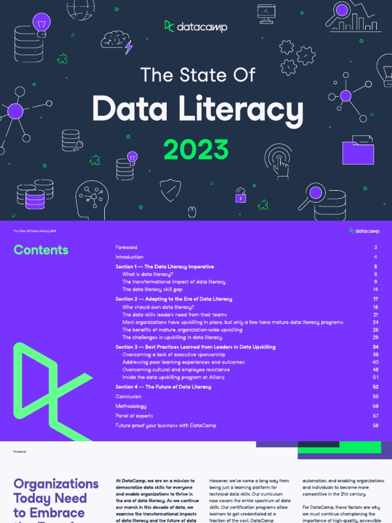 The State of Data Literacy 2023 PDF | PDF | Literacy | Data