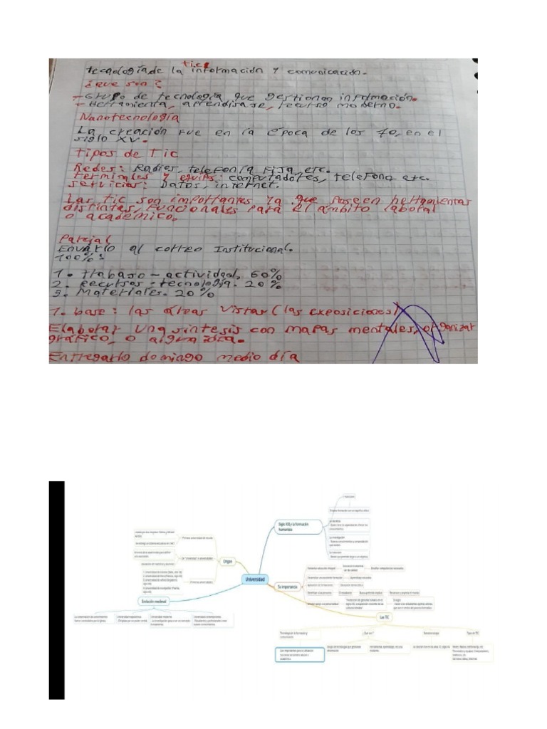 Mapa Mental-Catedra Udecina | PDF