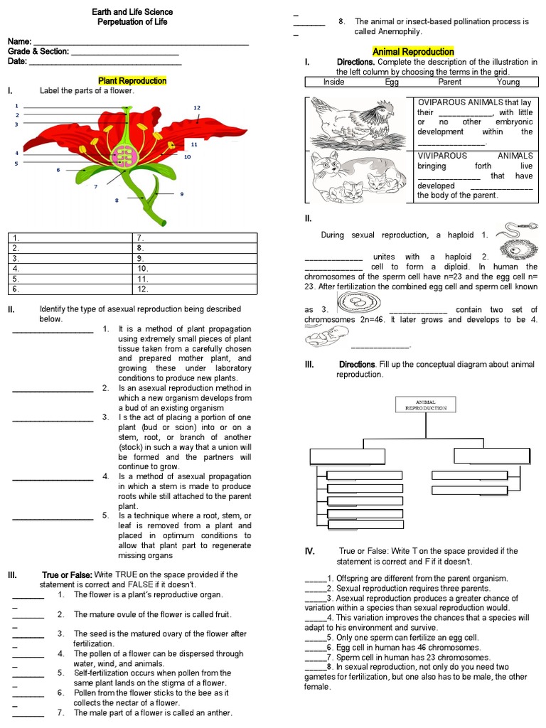 Plant and Animal Reproduction Guide | PDF | Sexual Reproduction ...