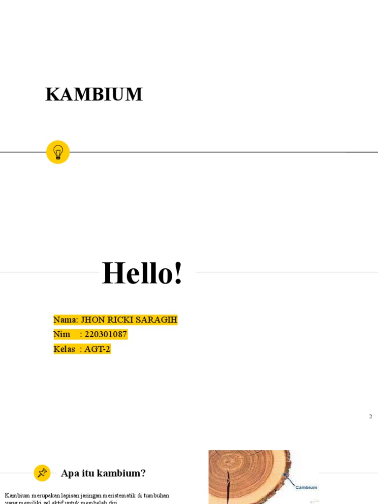 Fungsi dan Jenis Kambium Tumbuhan | PDF