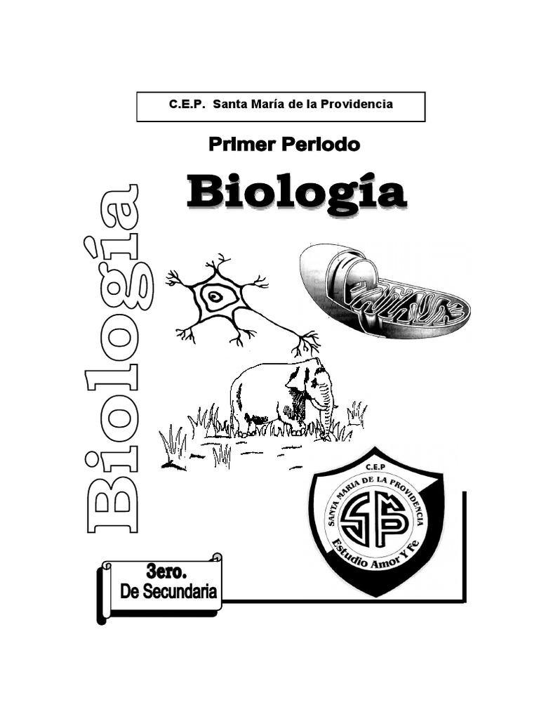 Biología 3ero 1bim 2005 Smdp Fin Pdf Rna Ácidos Nucleicos