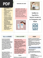 Como Tener Mi Expediente Electronico Issste | PDF