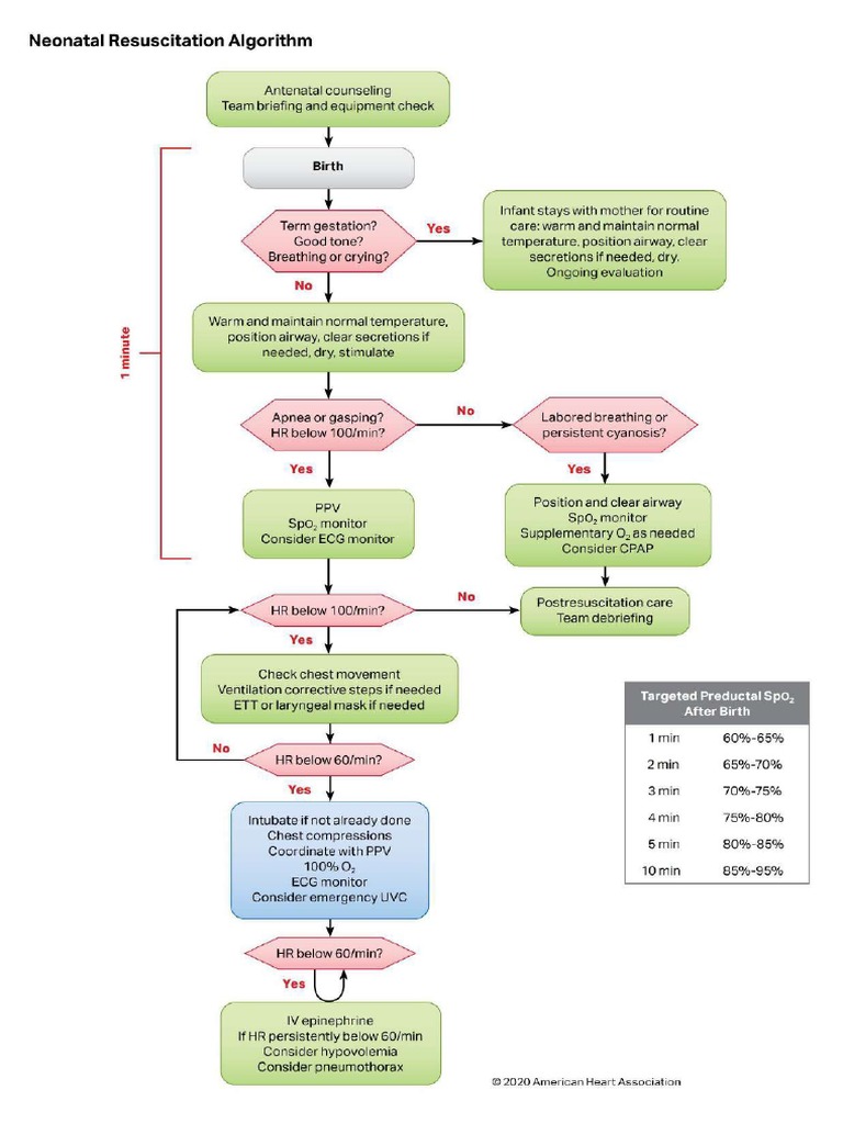 Neonatal Resuscitation | PDF