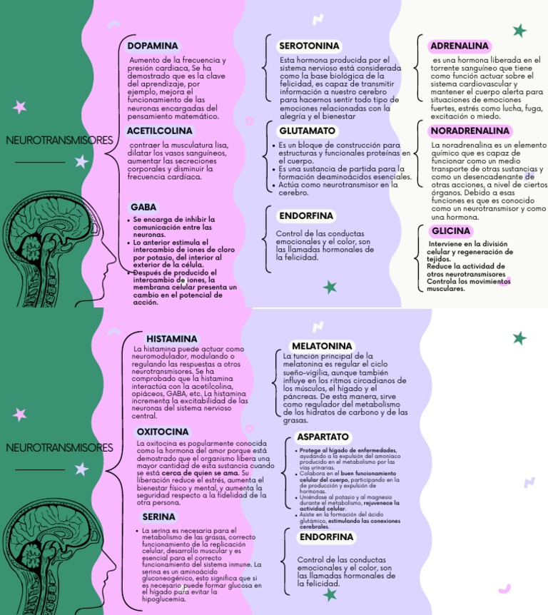 Esquema Neurotransmisores | PDF | Hormona | Neurotransmisor
