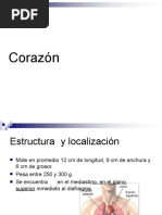 Generalidades Corazon - Anatomia | PDF | Corazón | Ventrículo (corazón)