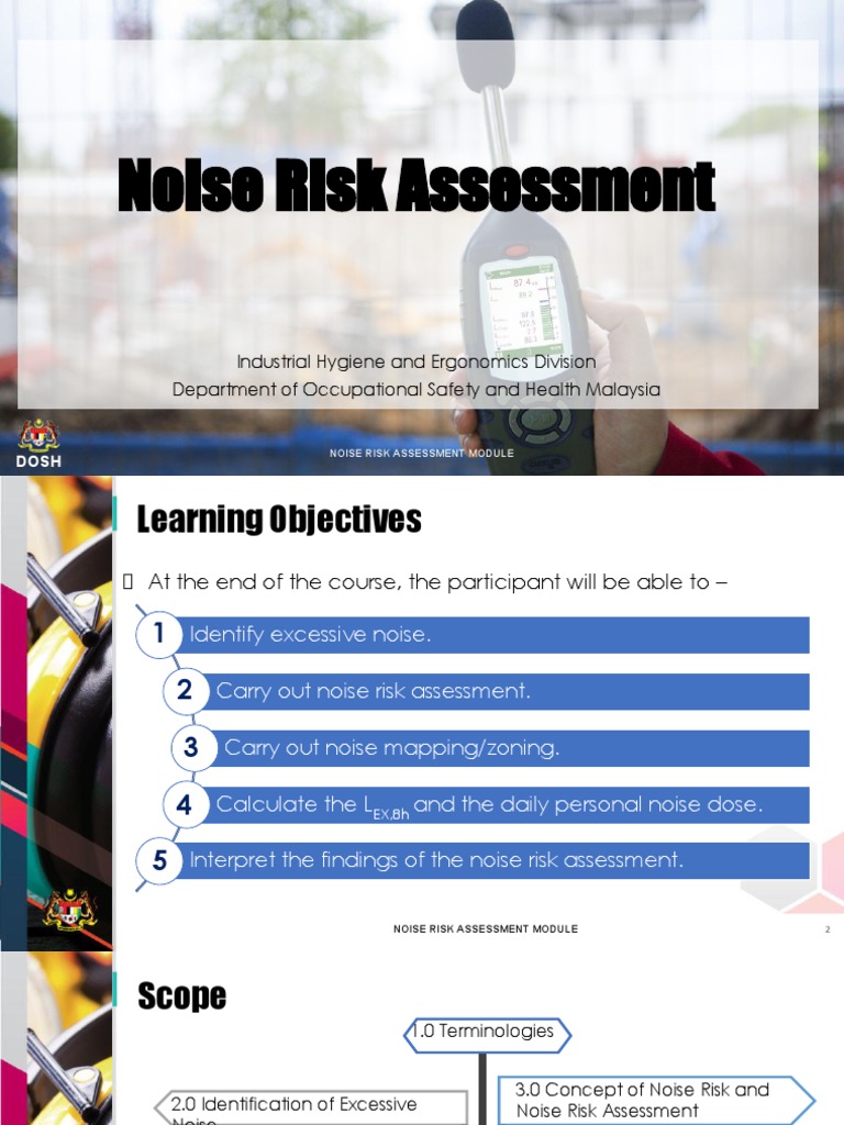 05 Noise Risk Assessment | PDF | Noise | Risk