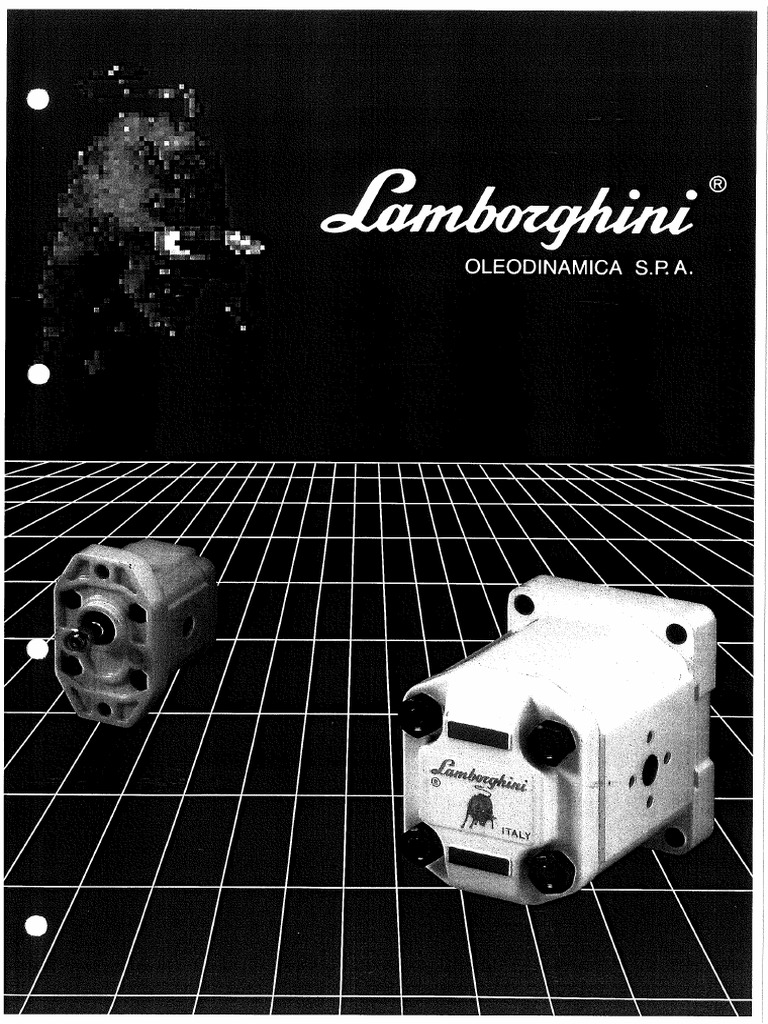 Lamborghini - Auxiliary Oil Pump | PDF