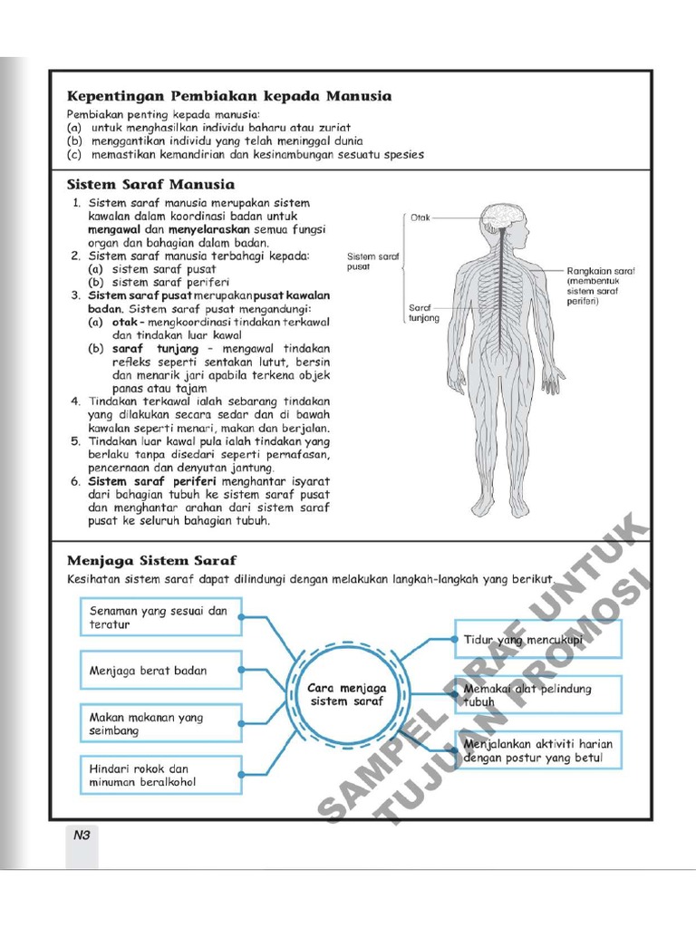 Nota Ringkas Sains Tahun 6 .pdf | PDF
