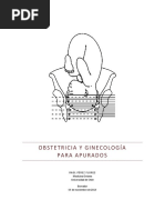 Artículo Original - Eficacia Maniobra Ritgen | PDF | Salud maternal | Parto