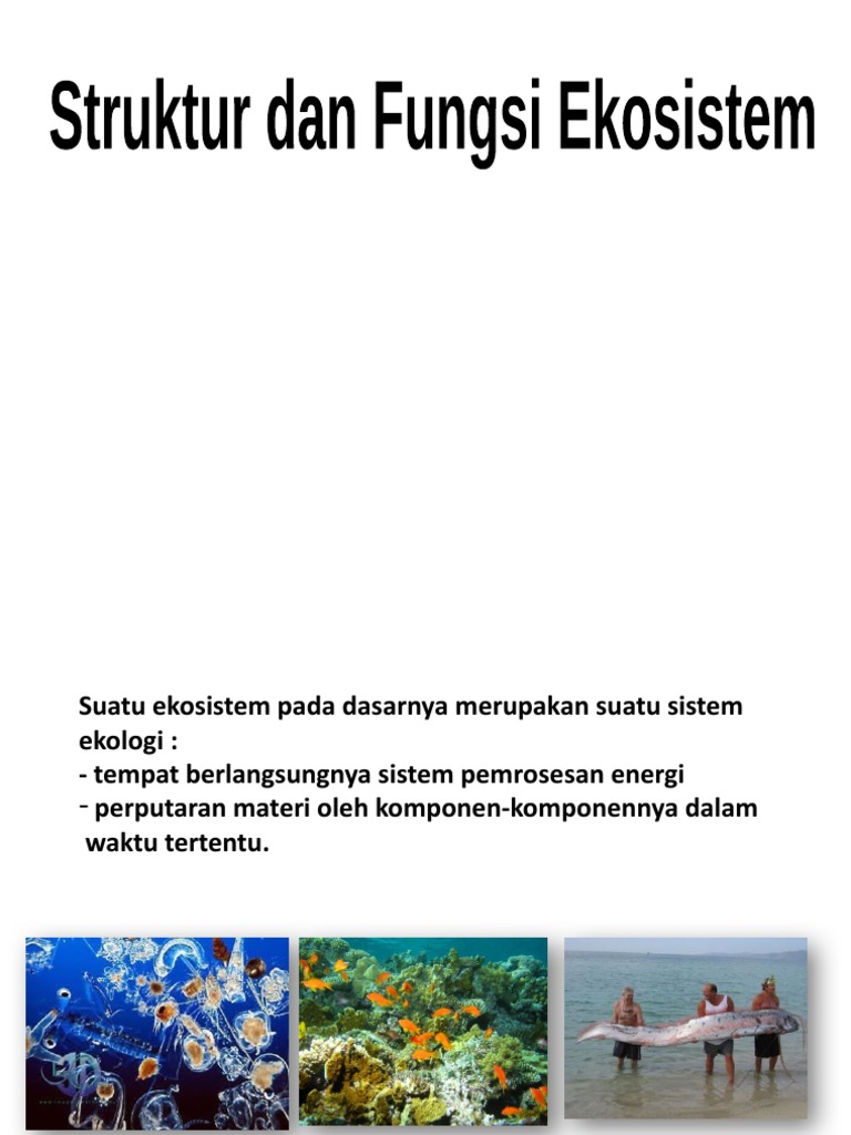 Struktur Dan Fungsi Ekosistem | PDF