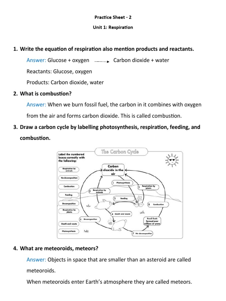 Revision WS Ans - Biology - Unit 1 - Photosynthesis and The Carbon ...