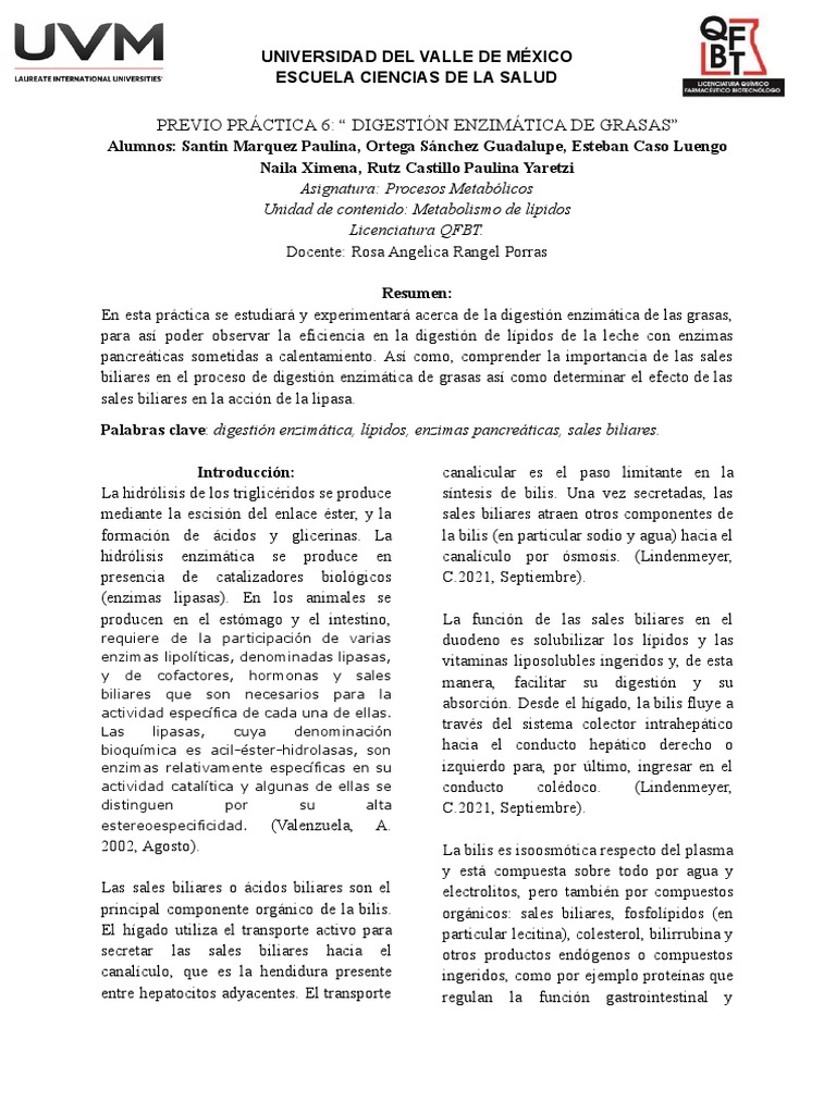 Previo P6 Procesos | PDF