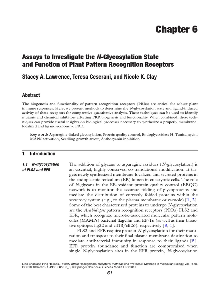 Assays To Investigate The N-Glycosylation State and Function of Plant Pattern Recognition ...